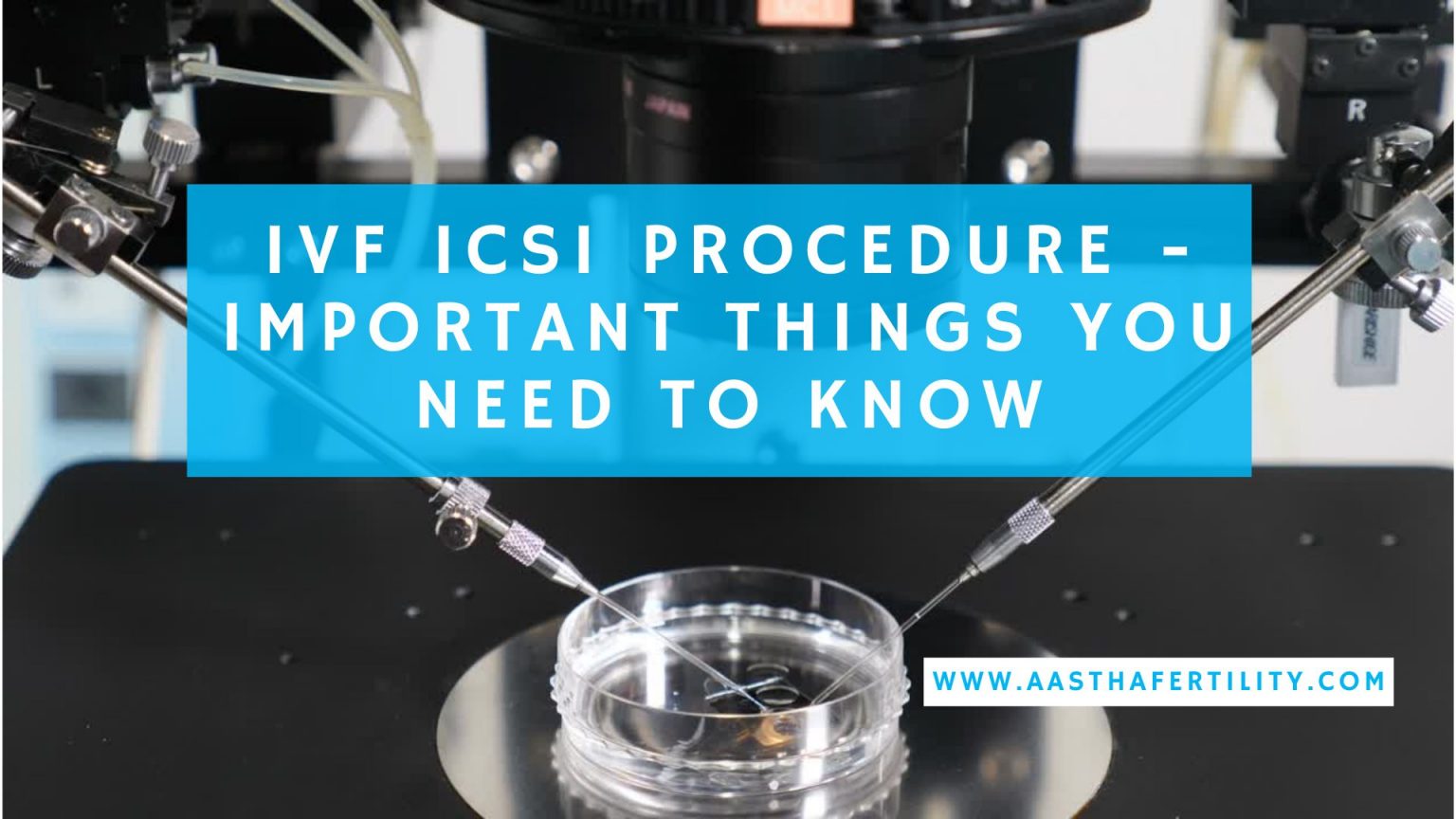 IVF with ICSI Procedure - Important Things You Need to Know