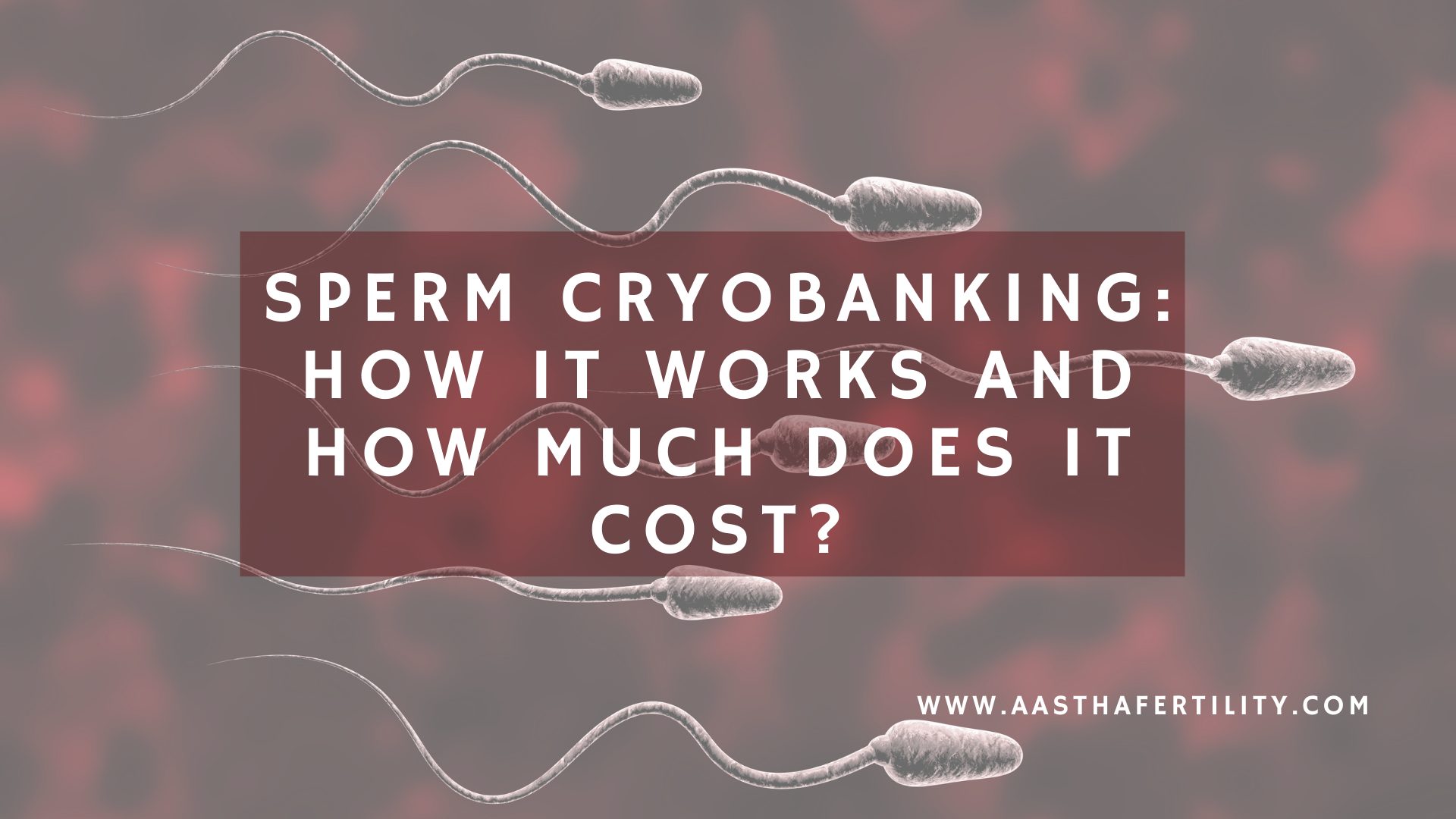 Sperm Cryobanking: How It Works and How Much Does It Cost?
