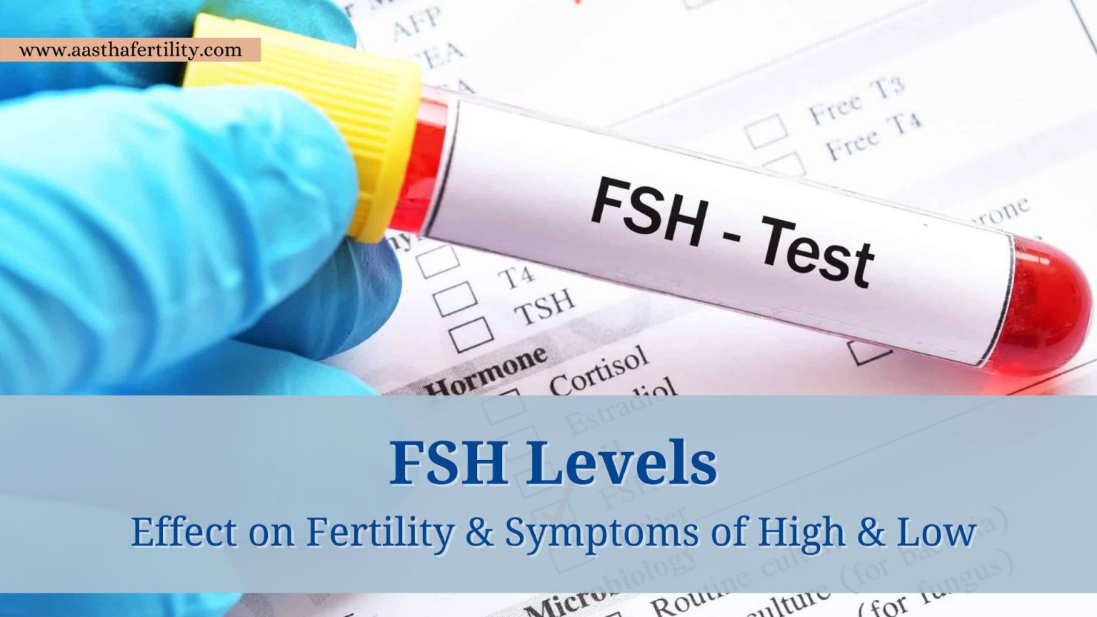 FSH Levels: Effect on Fertility & Symptoms of High & Low