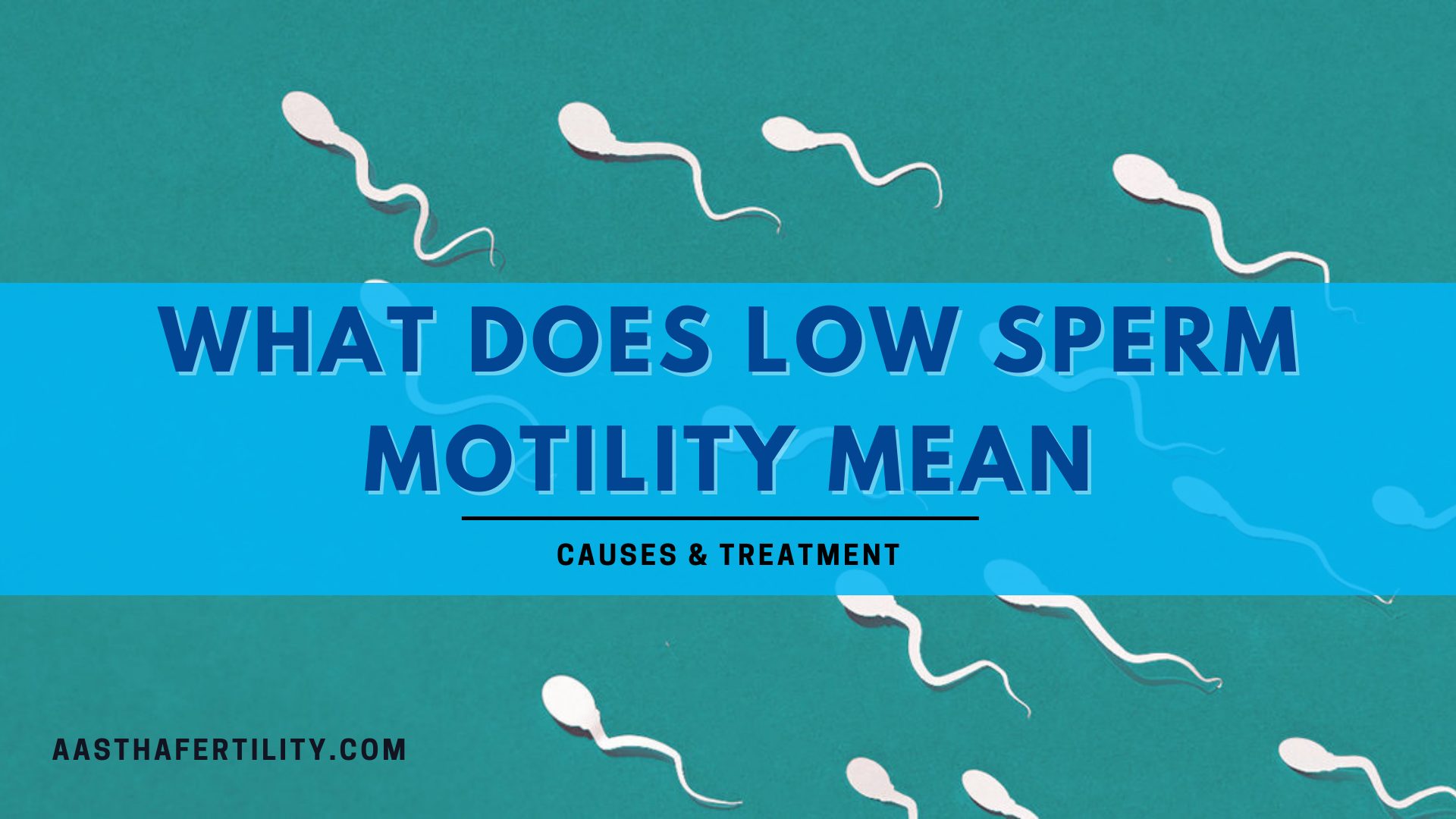 What Does Low Sperm Motility Mean Causes Treatment More
